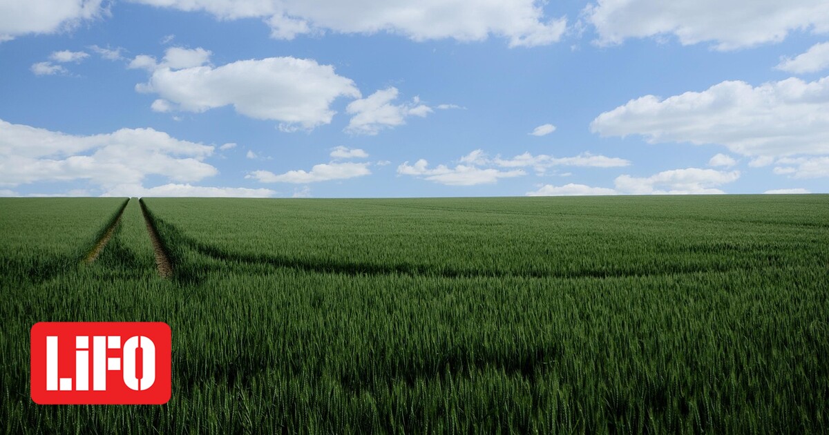 OΠΕΚΕΠΕ: Το κόλπο με τα βοσκοτόπια είχε «αποκαλυφθεί» σε δειγματοληπτικό έλεγχο από το 2020 | LiFO